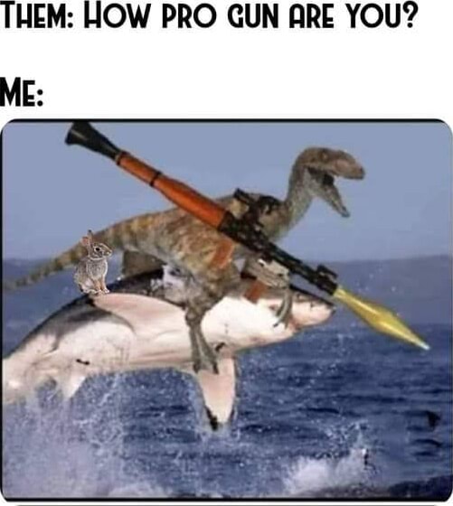 HEM: HOW PRO GUN ARE YOU' - iFunny