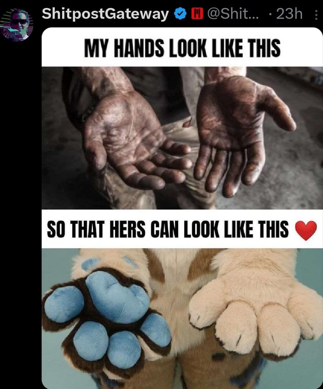 ShitpostGateway @ @Shit... MY HANDS LOOK LIKE THIS - iFunny