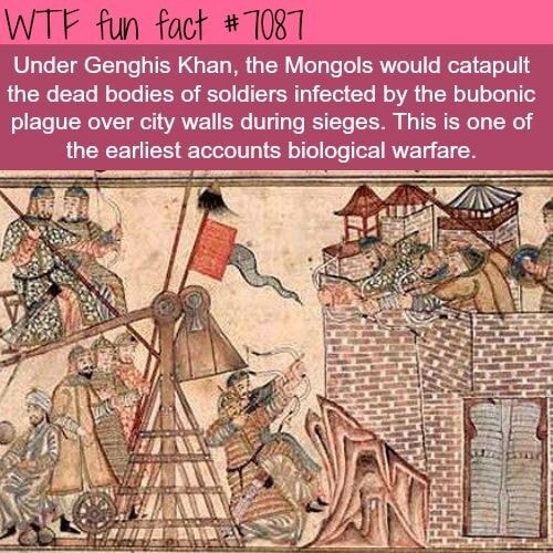 Fun Under Genghis Khan, the Mongols would catapult the dead bodies of ...