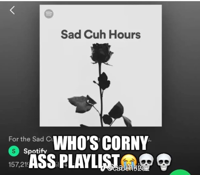 Sad Cuh Hours For the Sad WHO'S CORNY spotity MOS PLAYLIRLA.S - iFunny