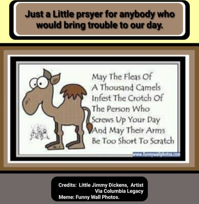 Little far bring May The Fleas Of A Thousand Camels Infest The Crotch ...