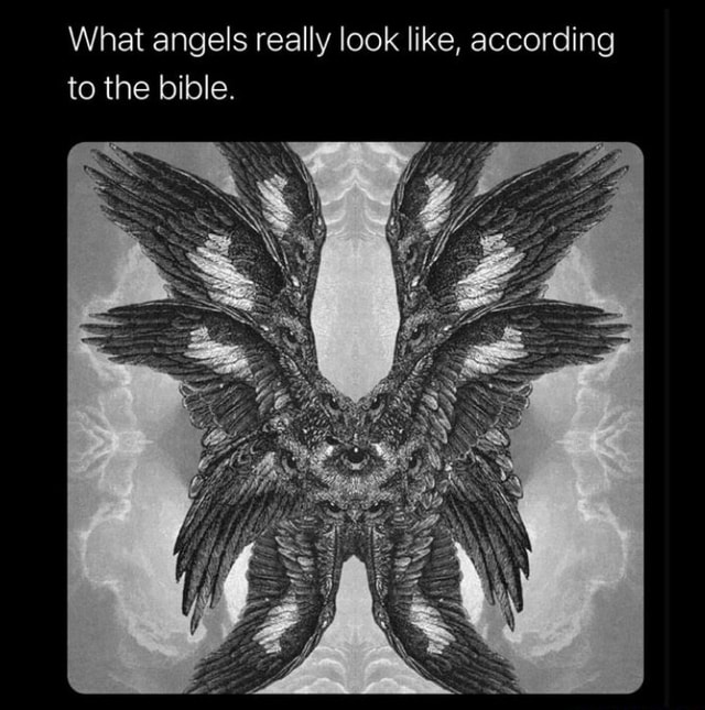 What angels really look like, according to the bible. - iFunny