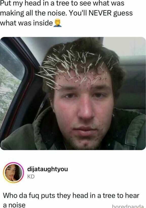 Ut my head in a tree to see what was making all the noise. You'll NEVER ...