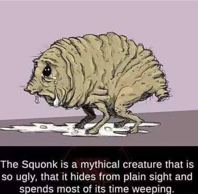 The Squonk is a mythical creature that is so ugly. that it hides from ...