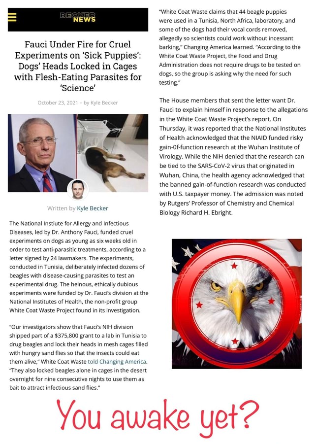 NEWS Fauci Under Fire for Cruel Experiments on 'Sick Puppies': Dogs ...