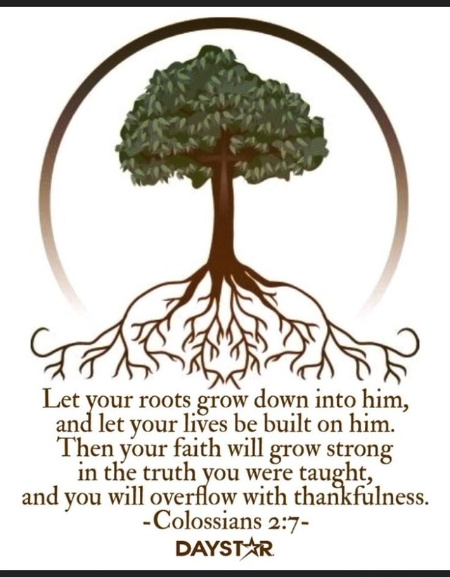 Let your roots grow down into him, diet your lives be built on him ...