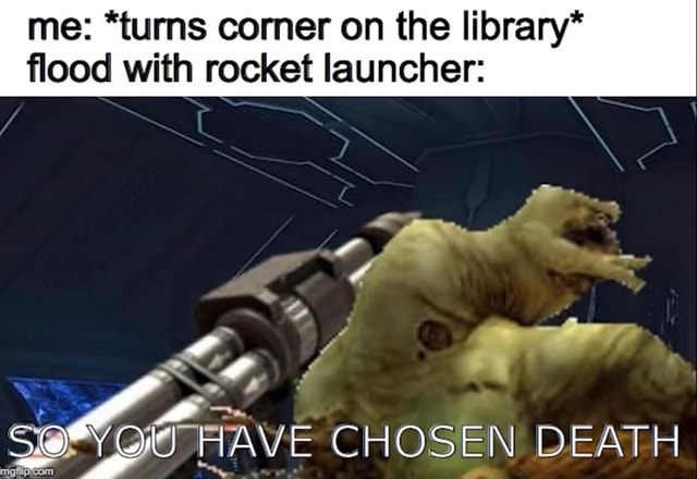 Me: *turns corner on the library* flood with rocket launcher: HAVE ...