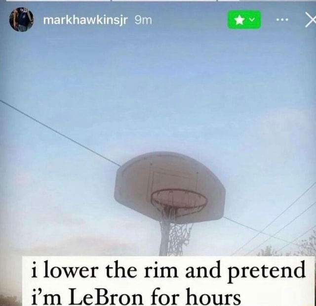 Markhawkinsjr i lower the rim and pretend I im LeBron for hours - iFunny