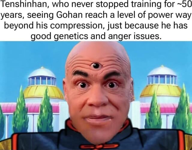 An, who never stopped training for ~50 years, seeing Gohan reach a ...