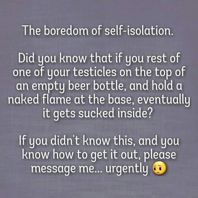 The Boredom Of Self Isolation Did You Know That If You Rest Of One Of Your Testicles On The Top