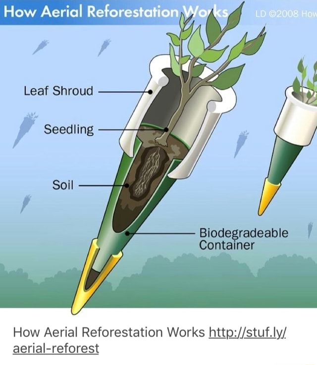 How Aerial Refores i« Leaf Shroud )? Seedling Biodegradeable Container ...