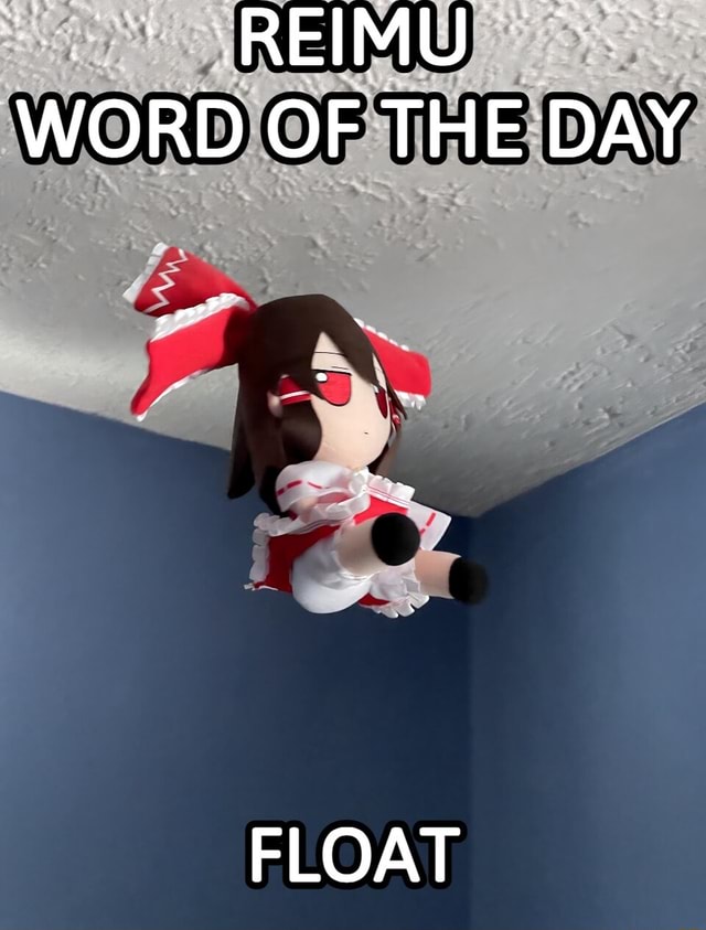 REIMU WORD OF THE DA oF FLOAT - iFunny