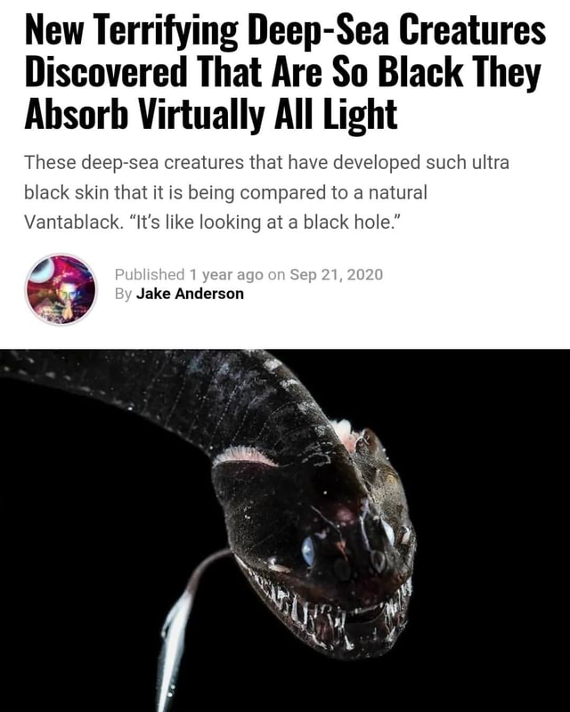 New Terrifying Deep-Sea Creatures Discovered That Are So Black They ...