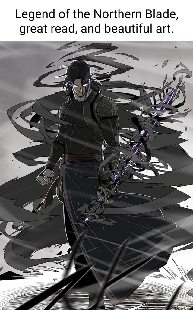 Legend of the Northern Blade, great read, and beautiful art. - iFunny