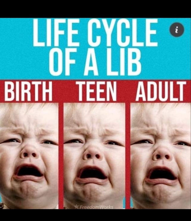 LIFE CYCLE OF A LIB BIRTH TEEN ADULI - America’s best pics and videos