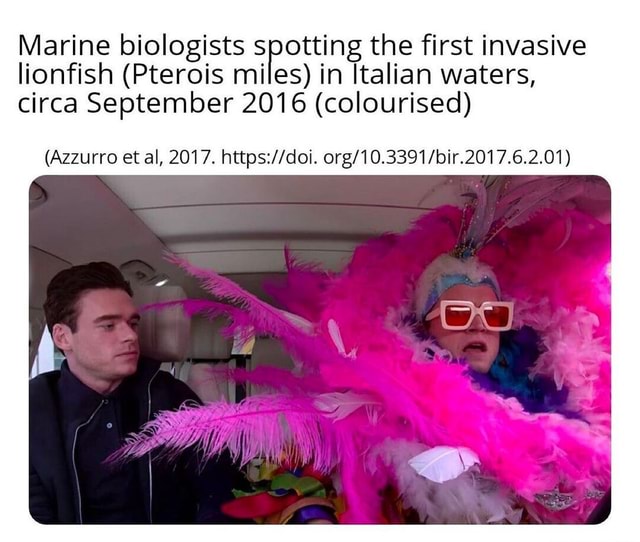 🐠 Meme credit: @edwardjackfruit - Marine biologists spotting the first ...