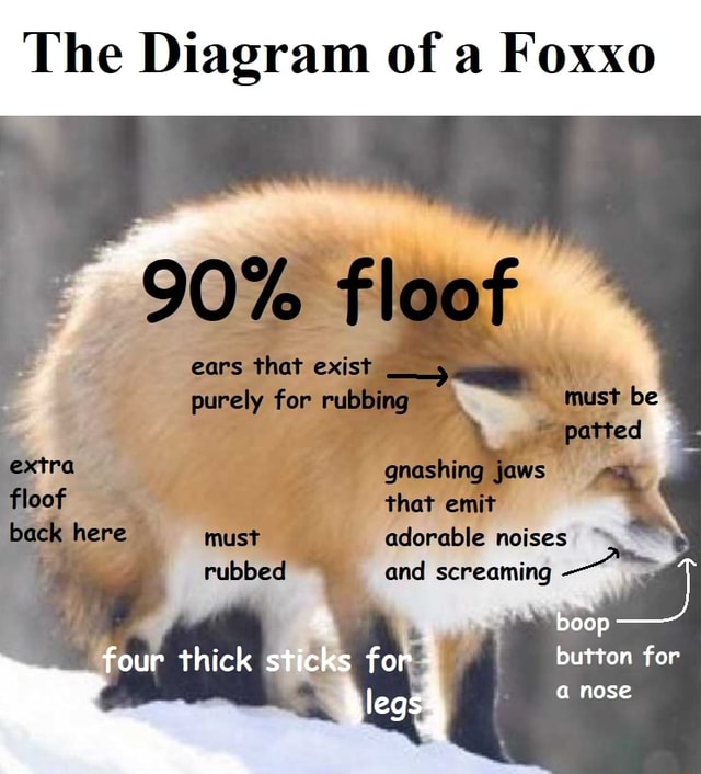 The Diagram of a Foxxo cars thar exist purely for mubbing must be ...