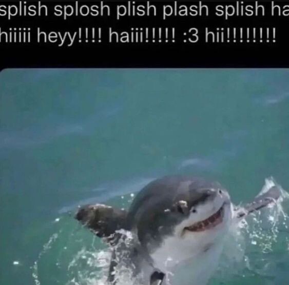 Splish splosh plish plash splish he - iFunny