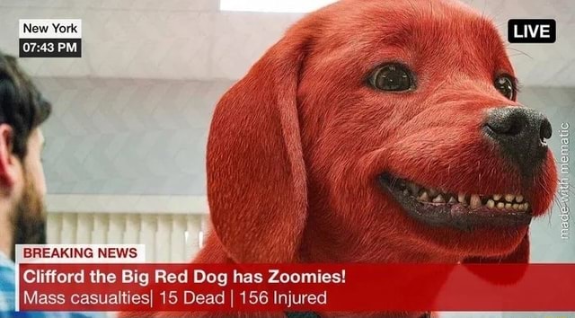 New York PM BREAKING NEWS LIVE Clifford the Big Red Dog has Zoomies ...