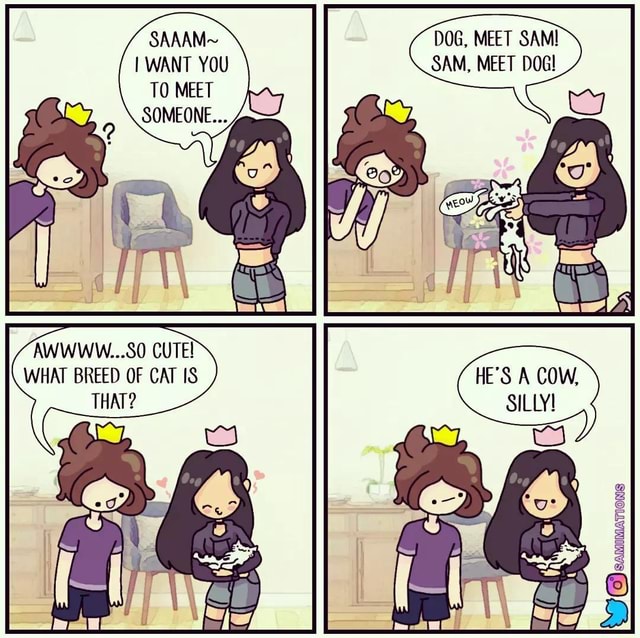 SAAAM~ DOG, MEET SAM! I WANT YOU SAM, MEET DOG! TO MEET SOMEONE ...