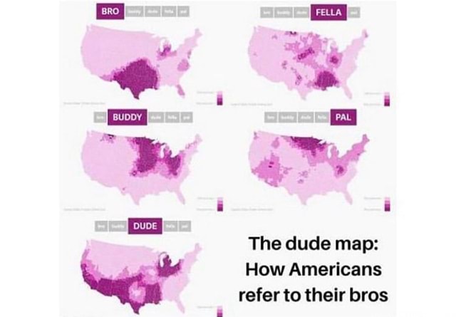 BRO BUDDY The dude map: How Americans refer to their bros - America’s ...