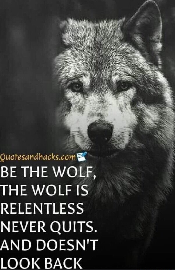 BE THE WOLF, THE WOLF IS RELENTLESS NEVER QUITS. AND DOESN'T LOOK BACK ...