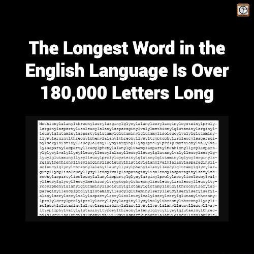 The Longest Word in the English Language Is Over 180,000 Letters Long ...