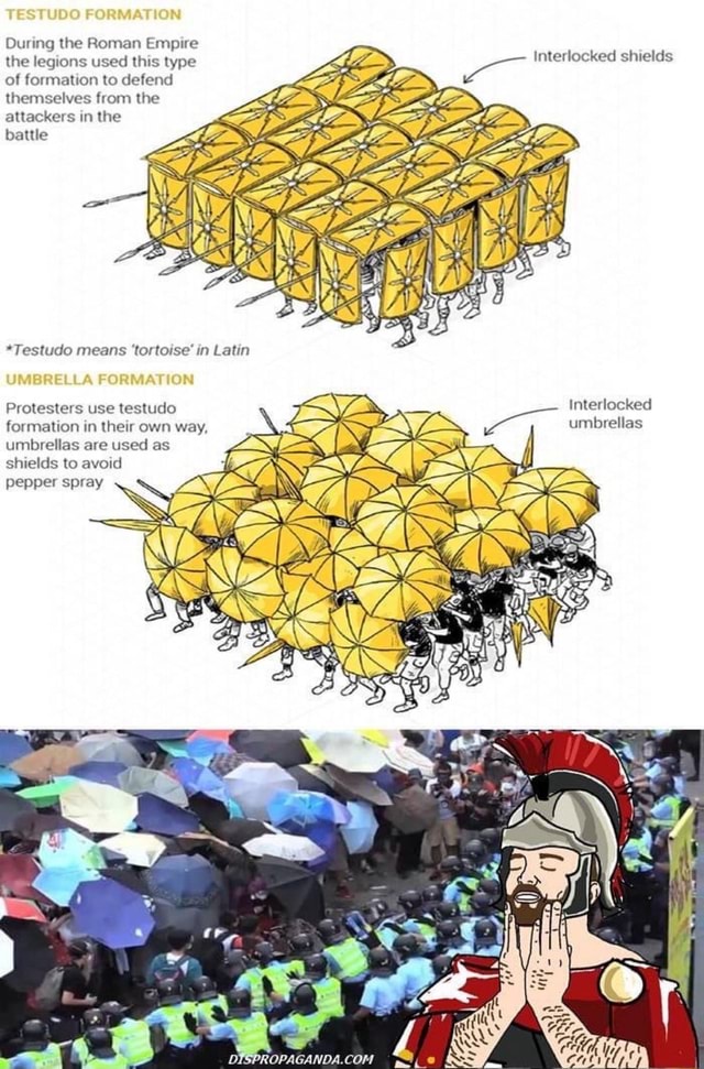 *Testudo means 'tortoise' in Latin Protesters use testudo formation in ...