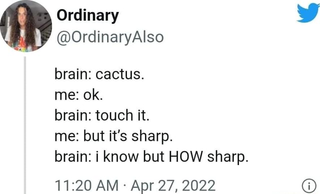 Ordinary @OrdinaryAlso brain: cactus. me: ok. brain: touch it. me: but ...