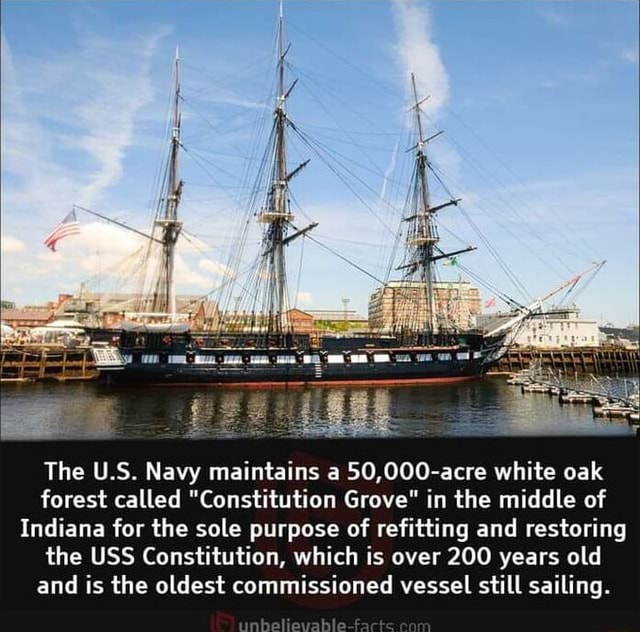 The U.S. Navy maintains 50,000-acre white oak forest called ...