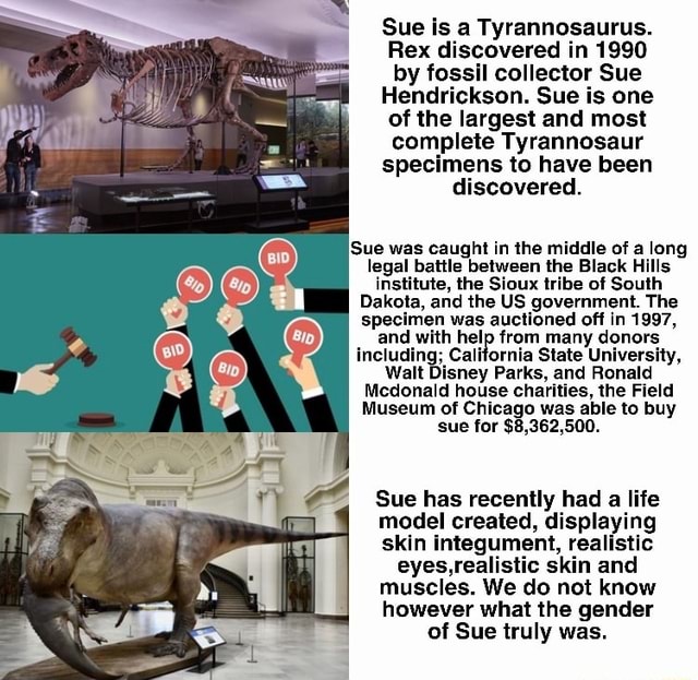 Sue is a Tyrannosaurus. Rex discovered in 1990 by fossil collector Sue ...