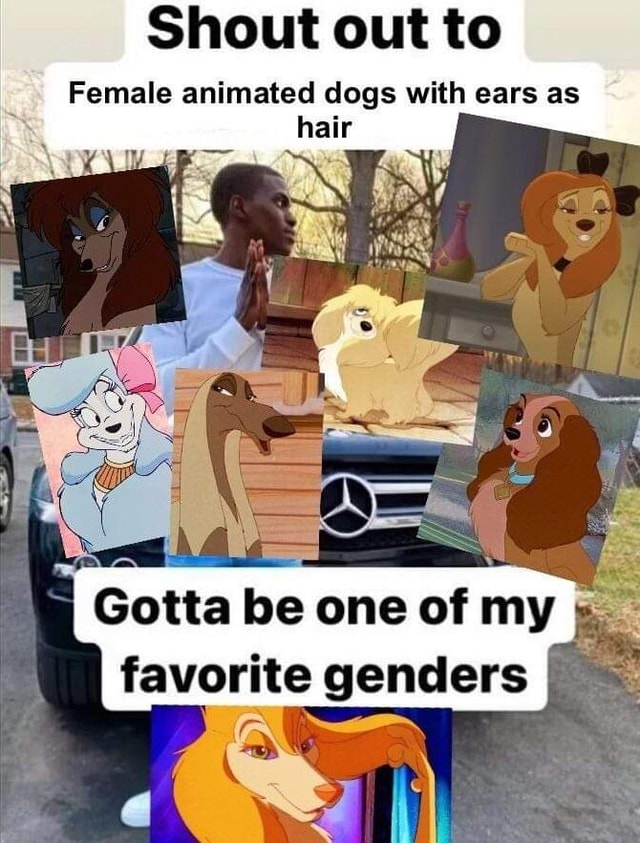 Shout out to Female animated dogs with ears as favorite genders - iFunny
