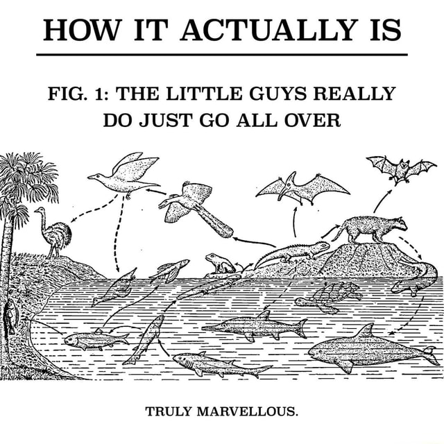 Picture memes Z1Me1Tc1A by navallint88 - )