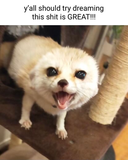 I should try drea this shit is GREAT!!! - iFunny