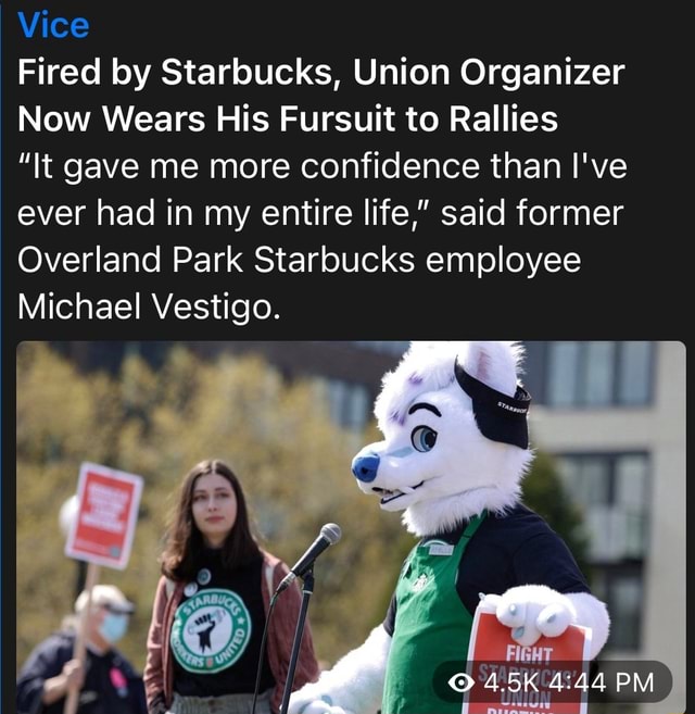 Vice Fired by Starbucks, Union Organizer Now Wears His Fursuit to ...