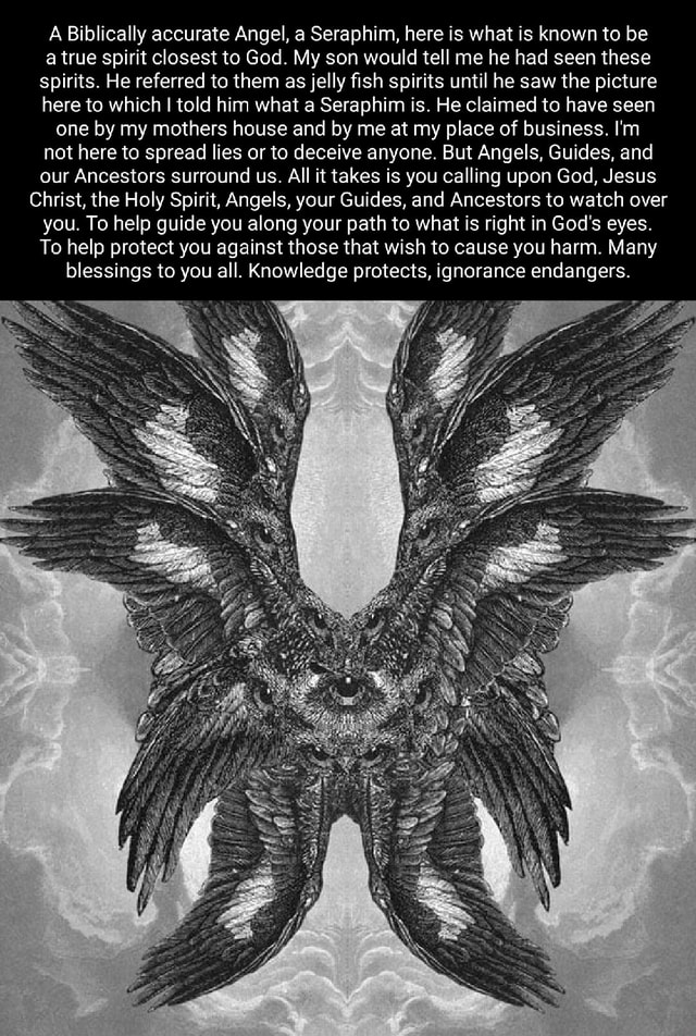 A Biblically accurate Angel, a Seraphim, here is what is known to be a ...