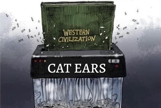 Ss WESTERN CAT - iFunny