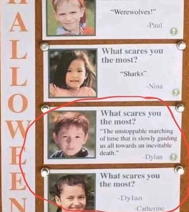 "Werewolves!" Paul What scares you the most? "Sharks" What scares you ...