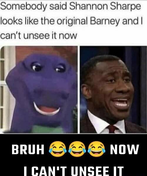 Somebody said Shannon Sharpe looks like the original Barney and I can't ...
