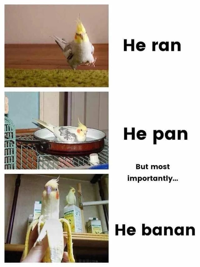He ran He pan But most importantly... He banan - iFunny