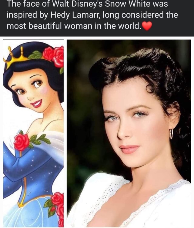 The face of Walt Disney's Snow White was inspired by Hedy Lamarr, long ...