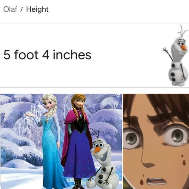 Olaf Height 5 foot 4 inches - iFunny