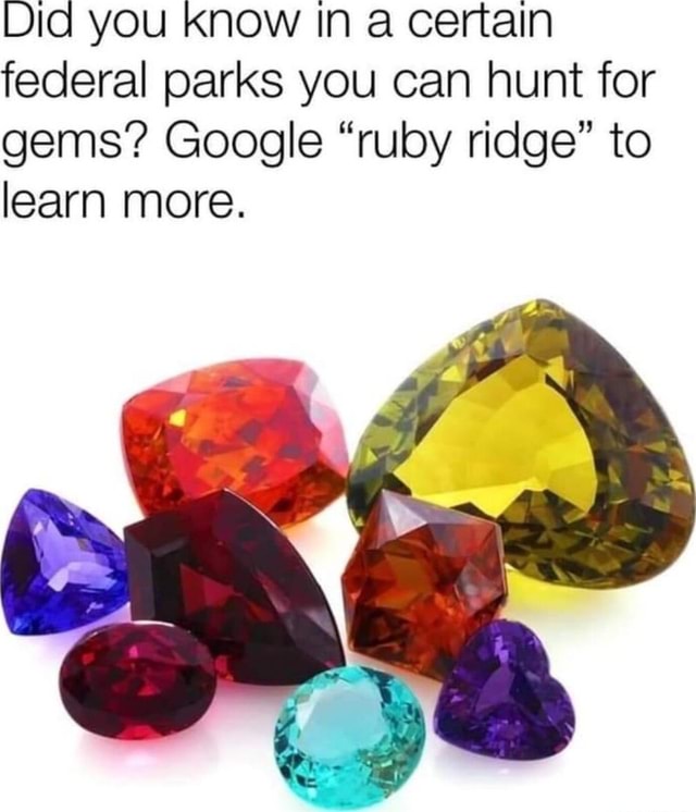 Did you Know In a certain federal parks you can hunt for gems? Google ...
