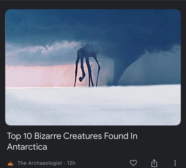 Top 10 Bizarre Creatures Found In Antarctica mm The Archaeologist - iFunny