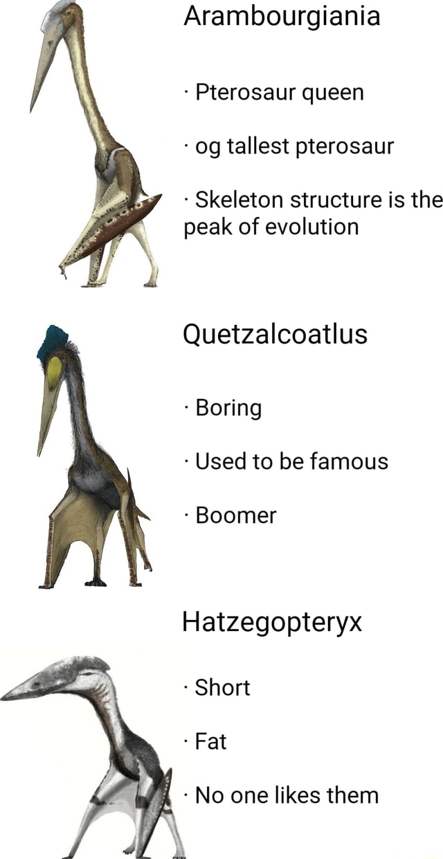Arambourgiania Pterosaur queen og tallest pterosaur Skeleton structure ...