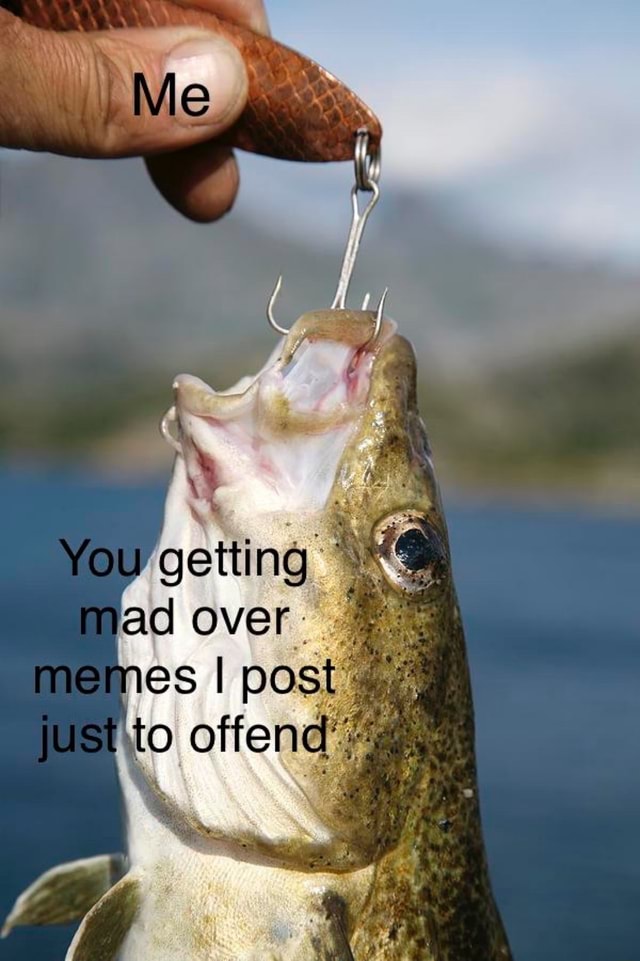 Ad ove memes I past' just - iFunny