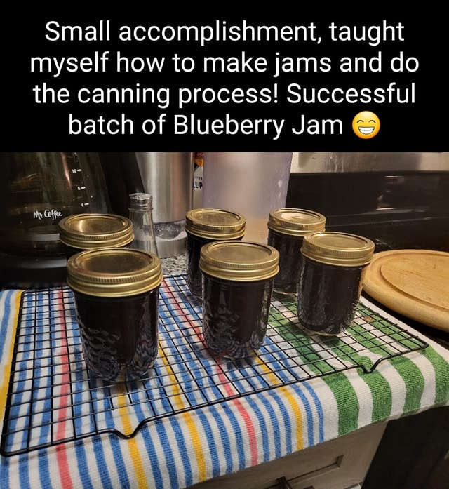 Small accomplishment, taught myself how to make jams and do the canning ...
