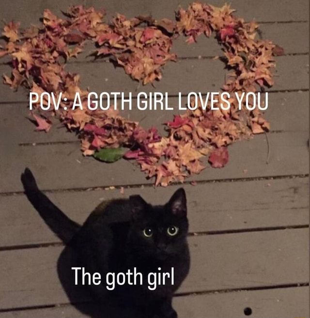 Pov A Goth Girl Loves You The Goth Girl Ifunny