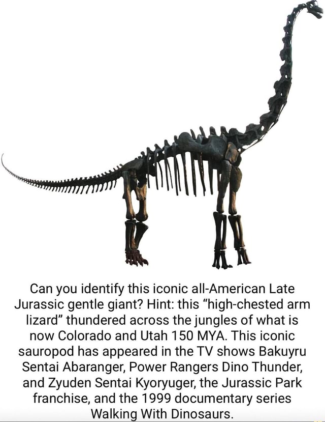 Can you identify this iconic all-American Late Jurassic gentle giant ...