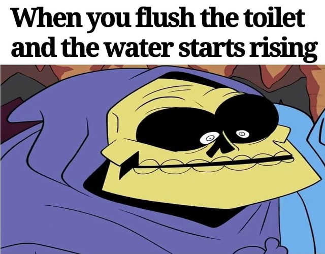 When you flush the toilet and the water starts rising - iFunny